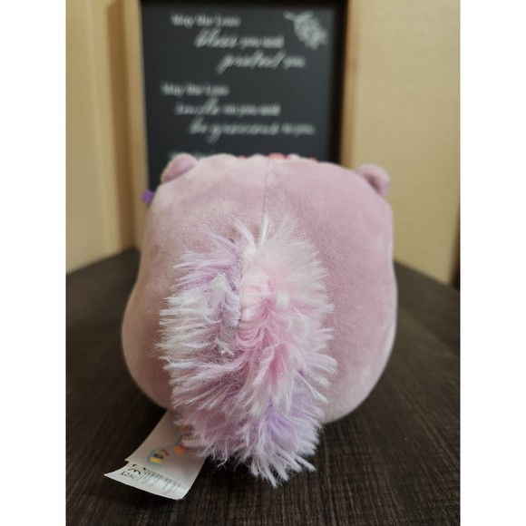 Squishmallows | Toys | Raresquishmallow Plush 5 Allina The Squirrel ...